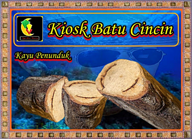 Kiosk Batu Cincin: KHASIAT KAYU YANG TERSIRAT DAN JENISNYA.