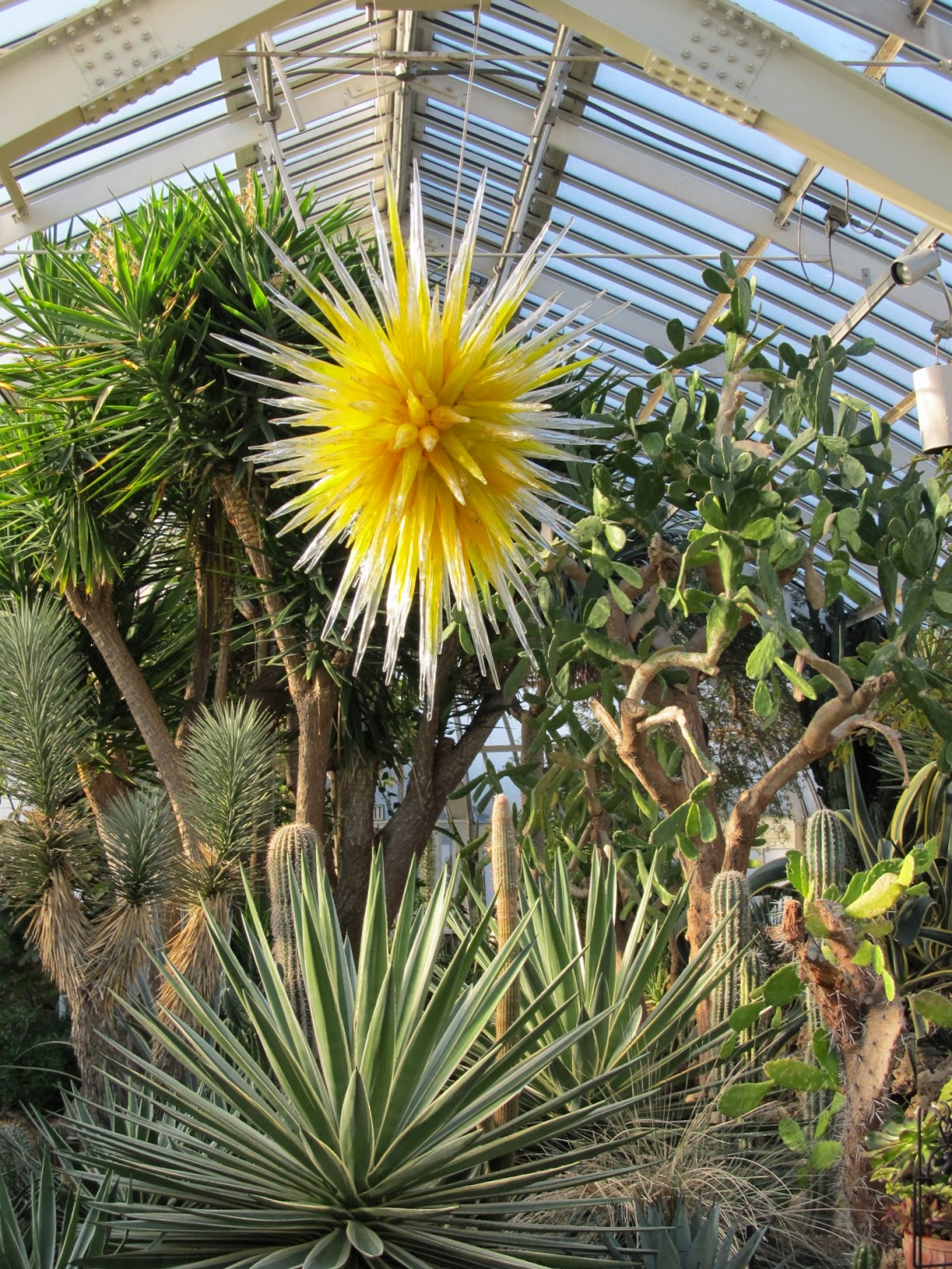 Rock-Oak-Deer: Phipps Conservatory Part 1