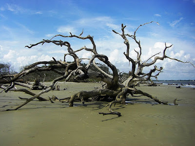 Erozyon: Akıp Giden Topraklar 4.Sınıf Fen ve Teknoloji Ders Notları ...