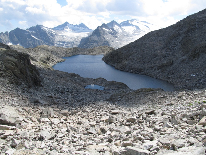 Escursionismo a 360°: Il Sentiero dei Fiori e Cima Payer (EEA)