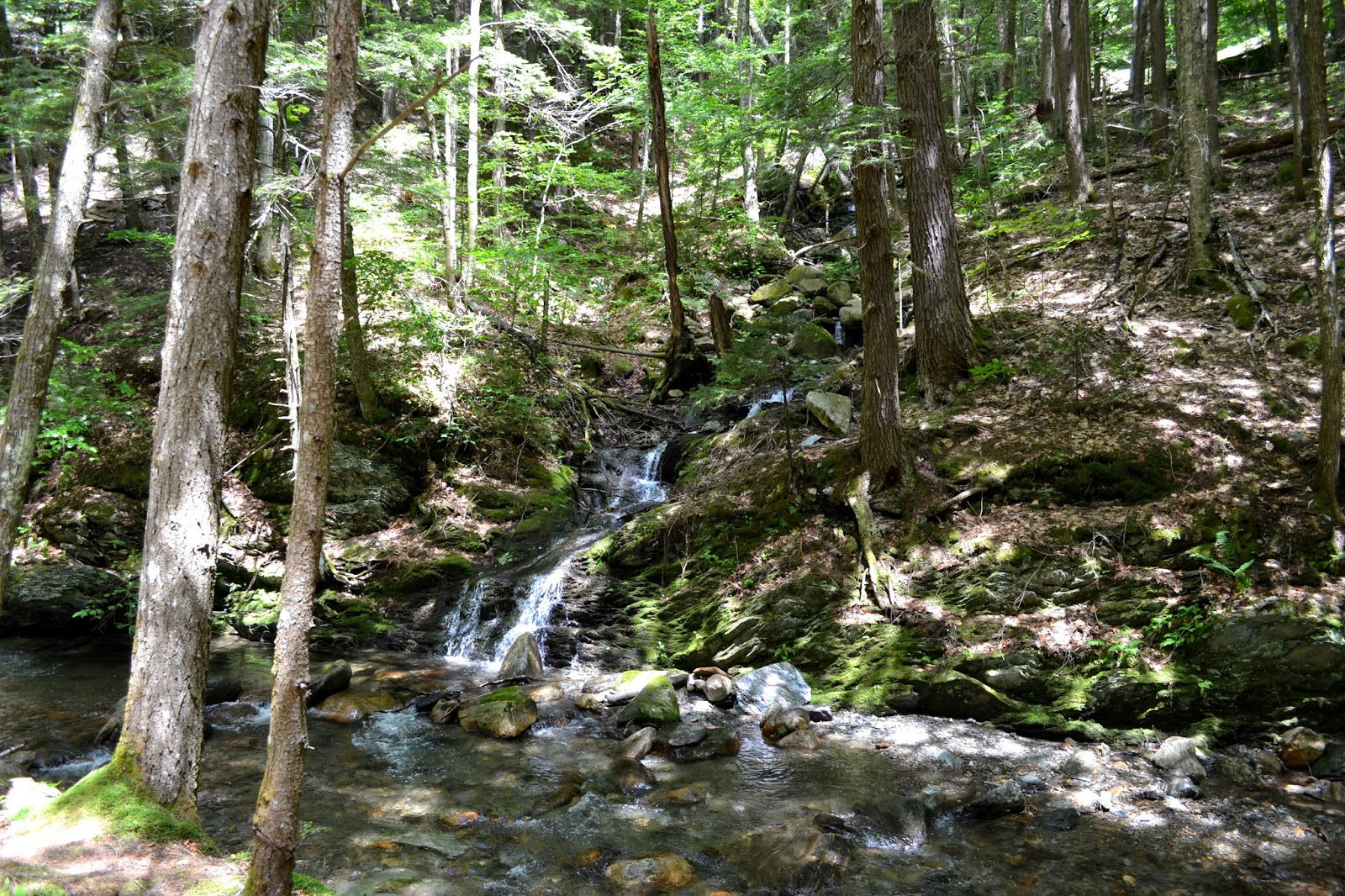 Drippings of Grace: Vermont Day 1: Buffalo Brook and Plymouth Notch
