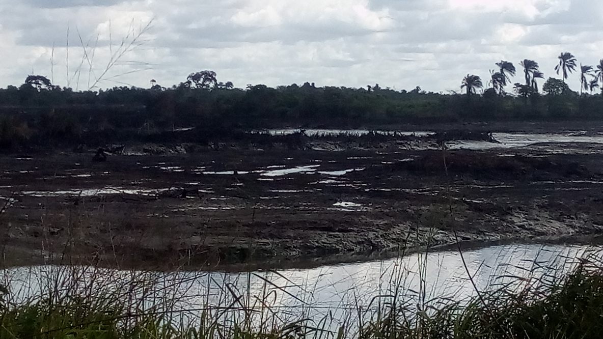 BIAFRA: MOBILIZATION TEAM RECORD GREAT SUCCESS IN OGONI LAND - The ...