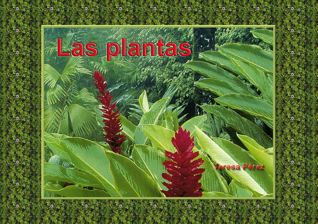 LA MINA .... 3º de PRIMARIA: LAS PLANTAS (3)