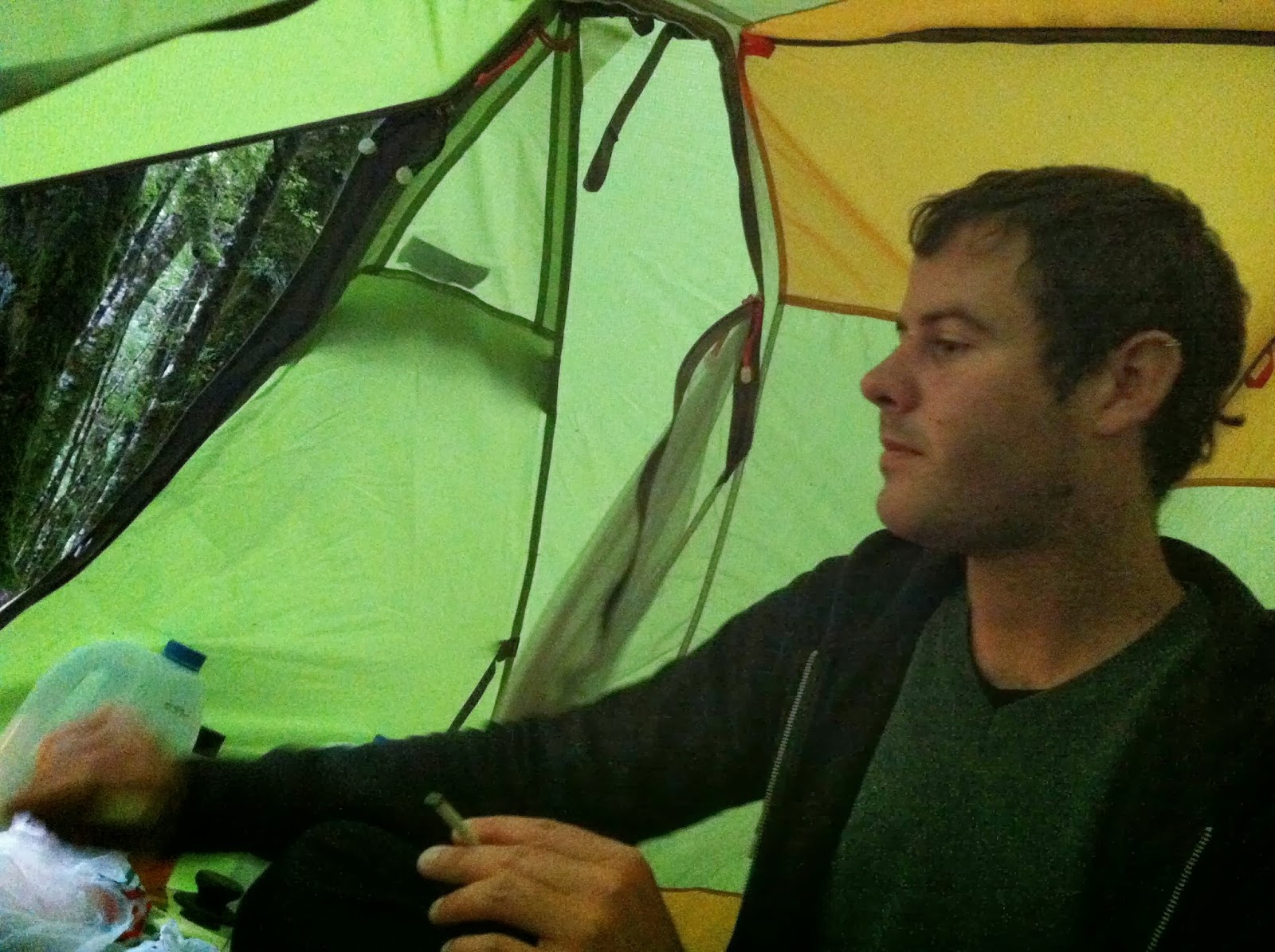 reserealism: tackar bugar och bockar