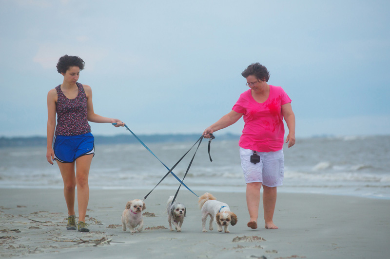 Pets: Building Community One Friend at a Time - animal world