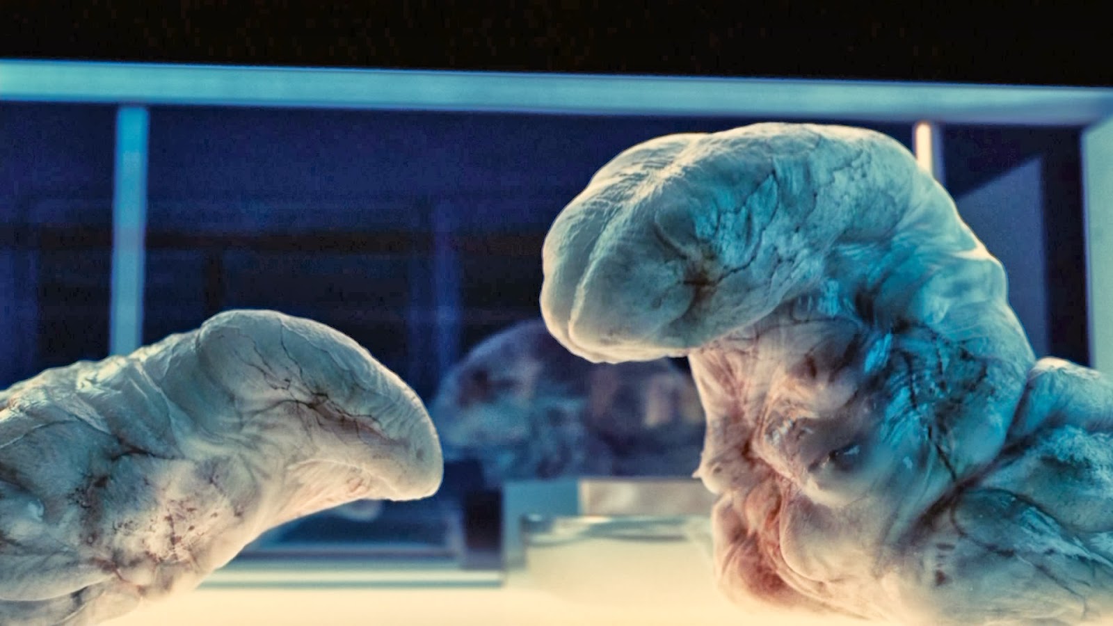 Splice Fred And Ginger