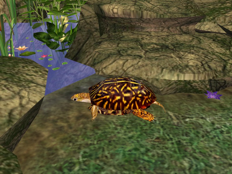 TheNinthWaveSims: The Sims 2 - Decorative Turtles - Mesh Plus Recolors