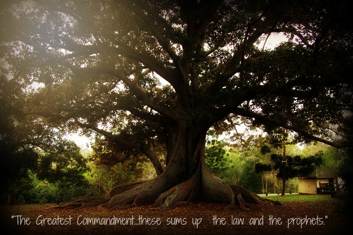 Out of the Heart of Eden: Getting Acquainted with Love Part 1 of 4: The ...