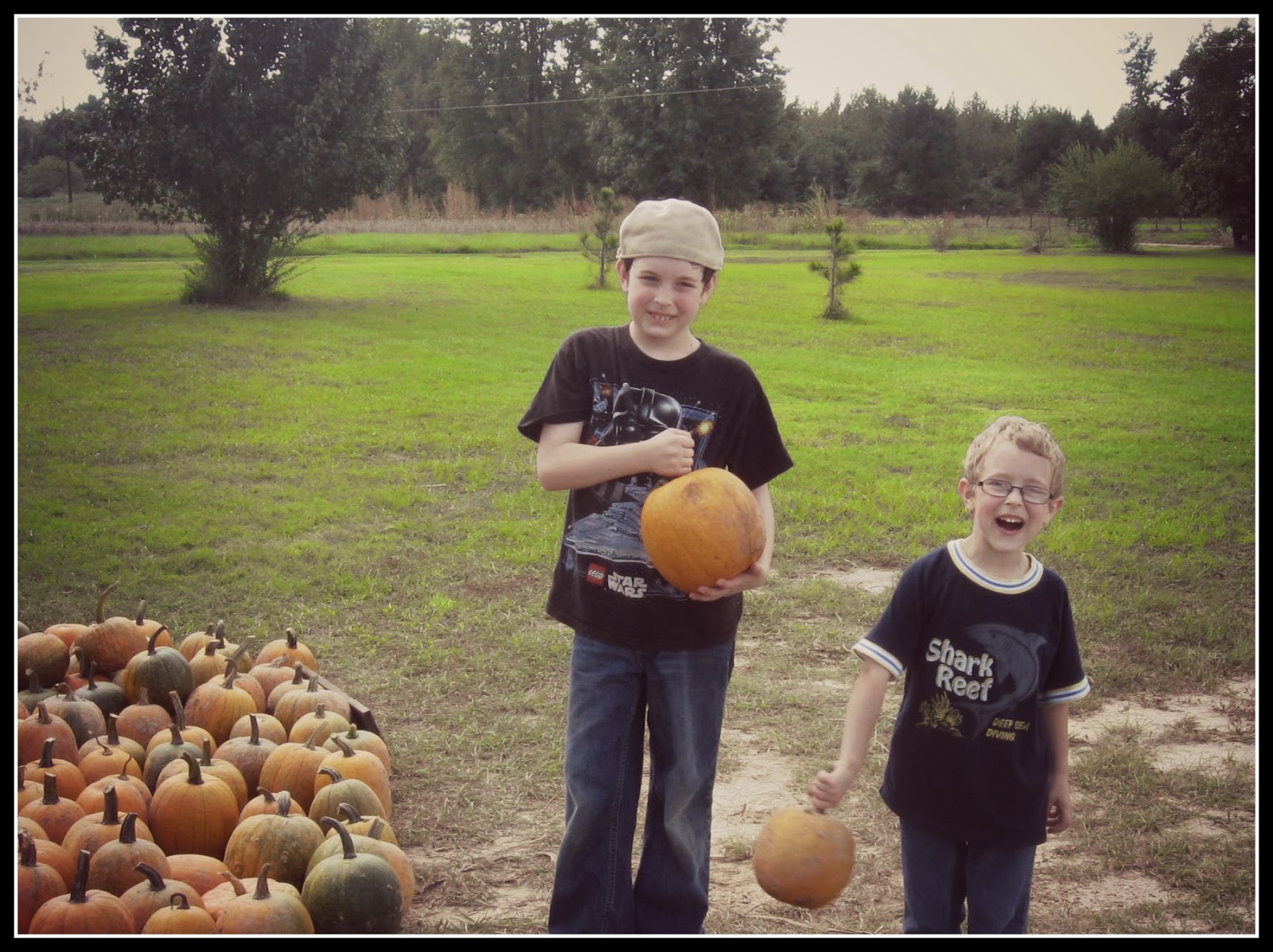 Look At What You Are Seeing: Fun on the Farm