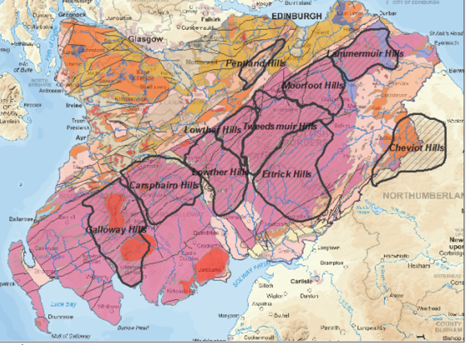 Borderlands Birding... and beyond: Golden Eagle - reinforcing the S ...