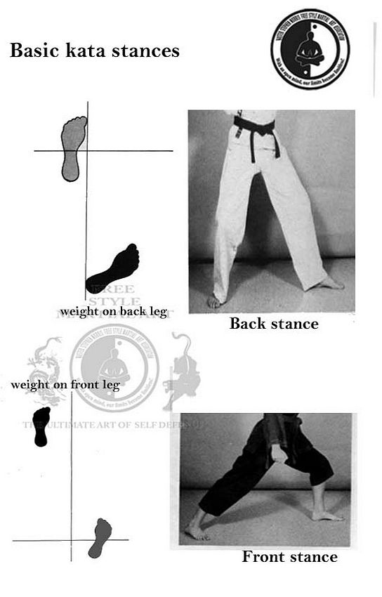 free" style martial art: Basic kata stances