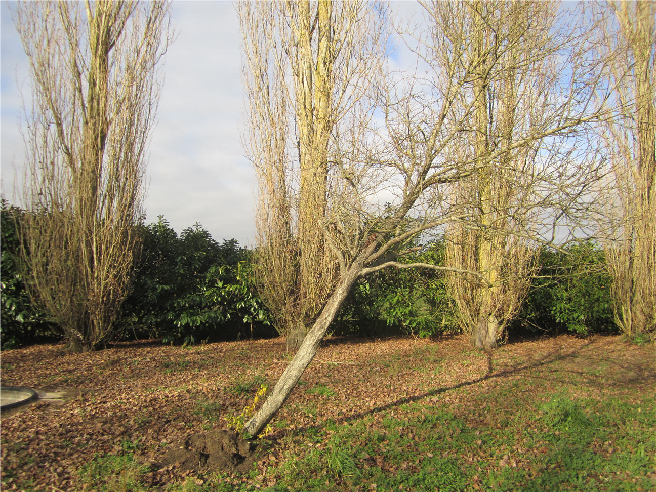 The story of our life returning to England from Braye-sous-Faye: The ...