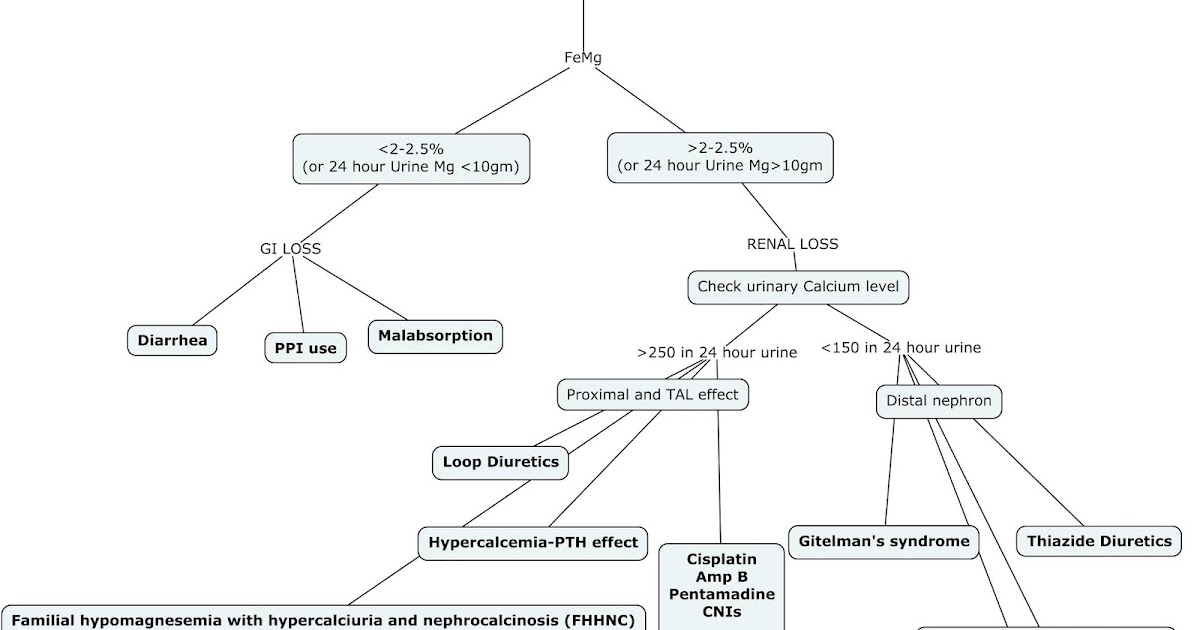 Nephron Power: Concept Map: Diagnostic Approach to Hypomagnesemia
