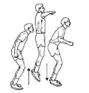 Plyometrics Exercises To Increase Explosive Muscle (Power) - Sport ...