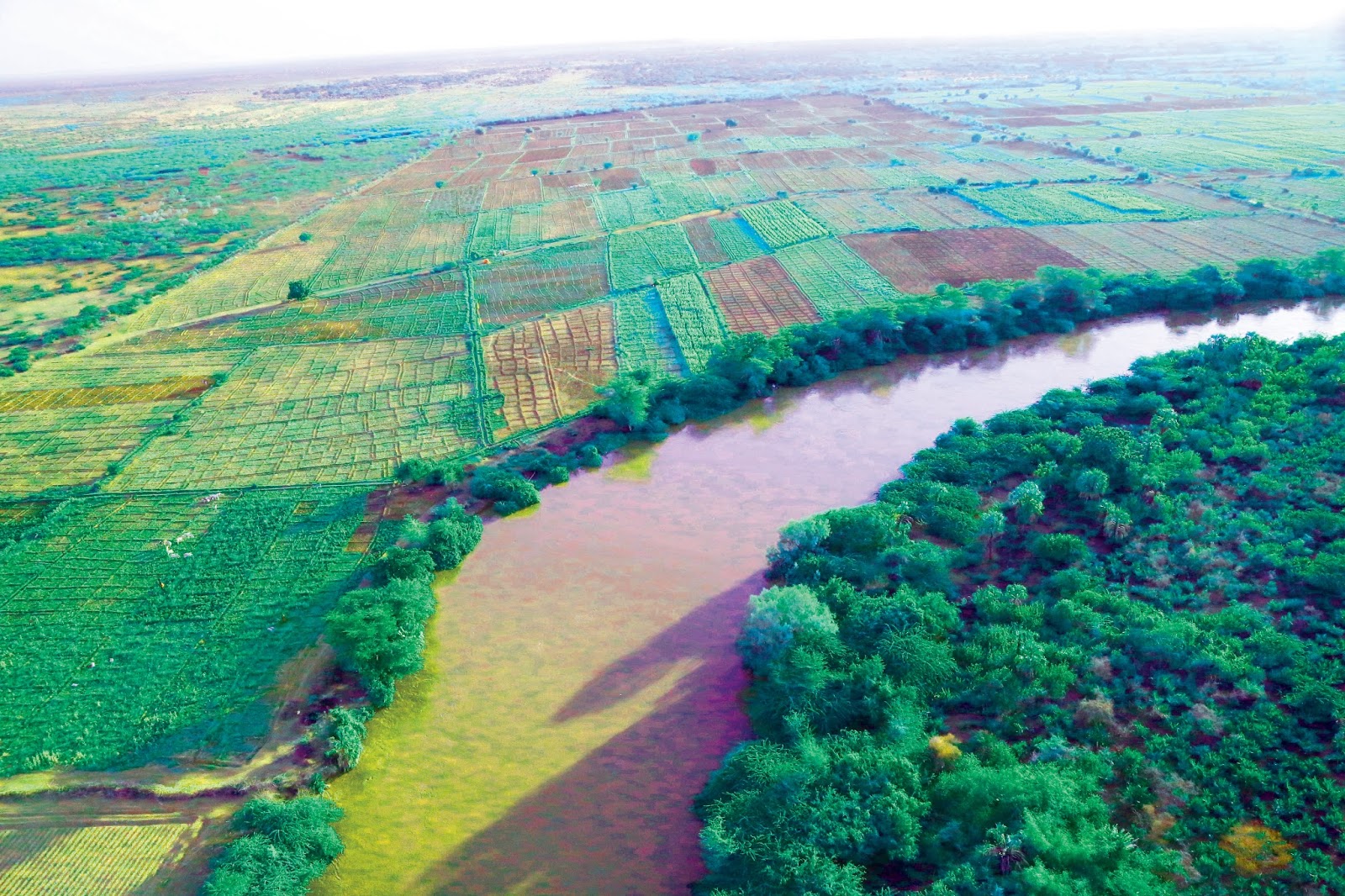 Eyes On Mandera County: Changing the desert into green farmland