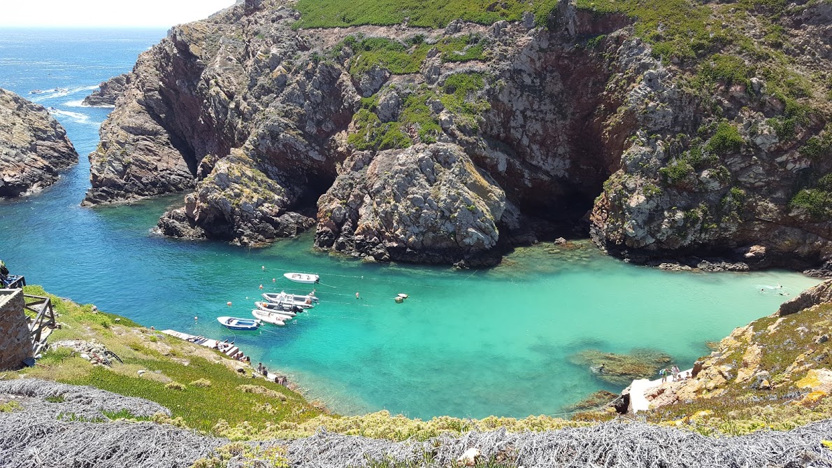Berlengas, um paraíso selvagem