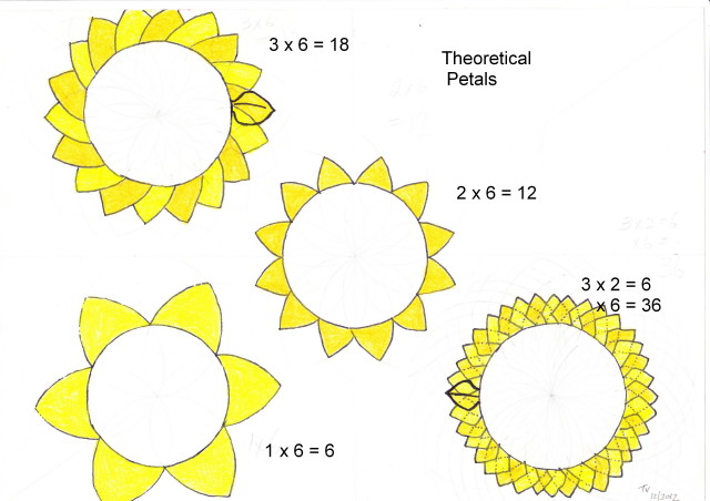 biomathcraft: Geometry of a Theoretical Sunflower