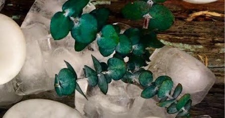 Urban Sanctuary: Cold Stone Facial Massage Benefits