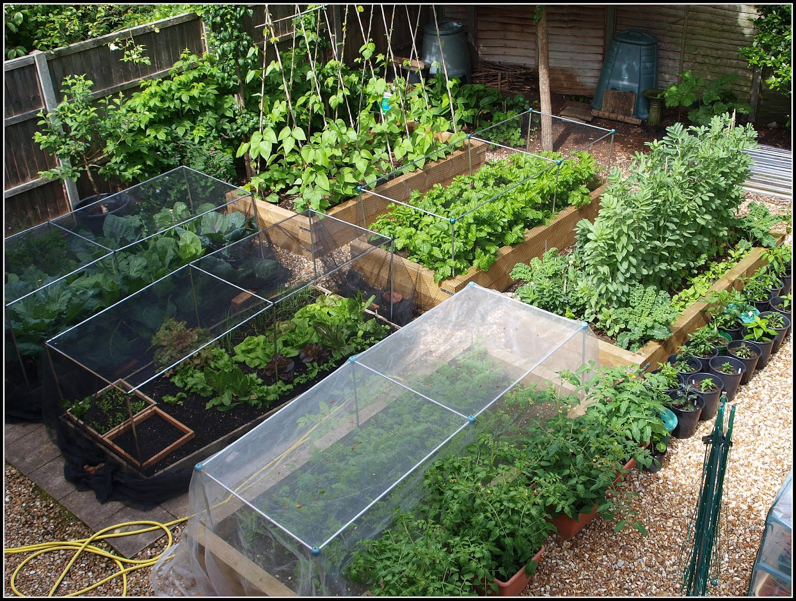 Mark's Veg Plot: An allotment. Yes or No?