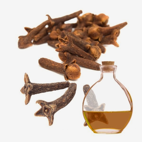 Clove Medicinal Properties And Uses | Healthy Tactic