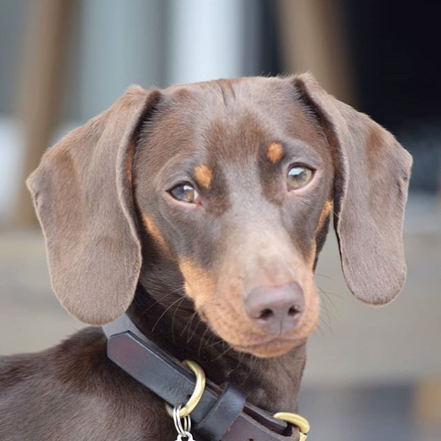 Little England Designs - awesome personalised products for family and ...