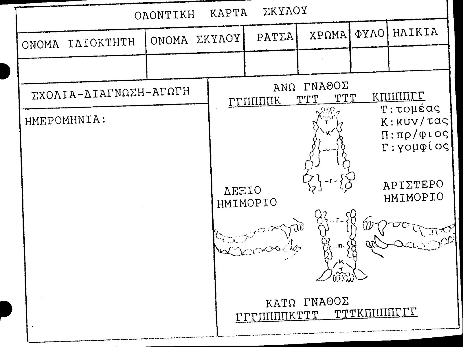 ΤΑ ΣΥΧΝΟΤΕΡΑ ΟΔΟΝΤΙΚΑ ΠΡΟΒΛΗΜΑΤΑ ΣΤΟΥΣ ΣΚΥΛΟΥΣ ΚΑΙ ΣΤΙΣ ΓΑΤΕΣ - ΙΑΤΡΕΙΟ ...