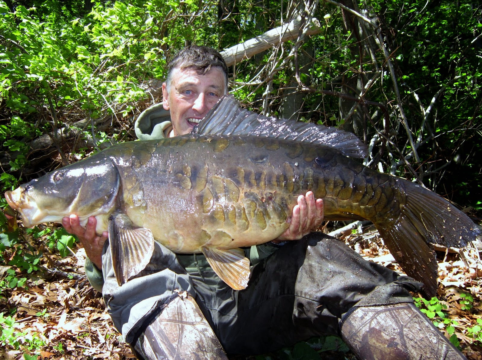 Rhode Island Carp Fishing: 40 Lb. MASSIVE Mirror!