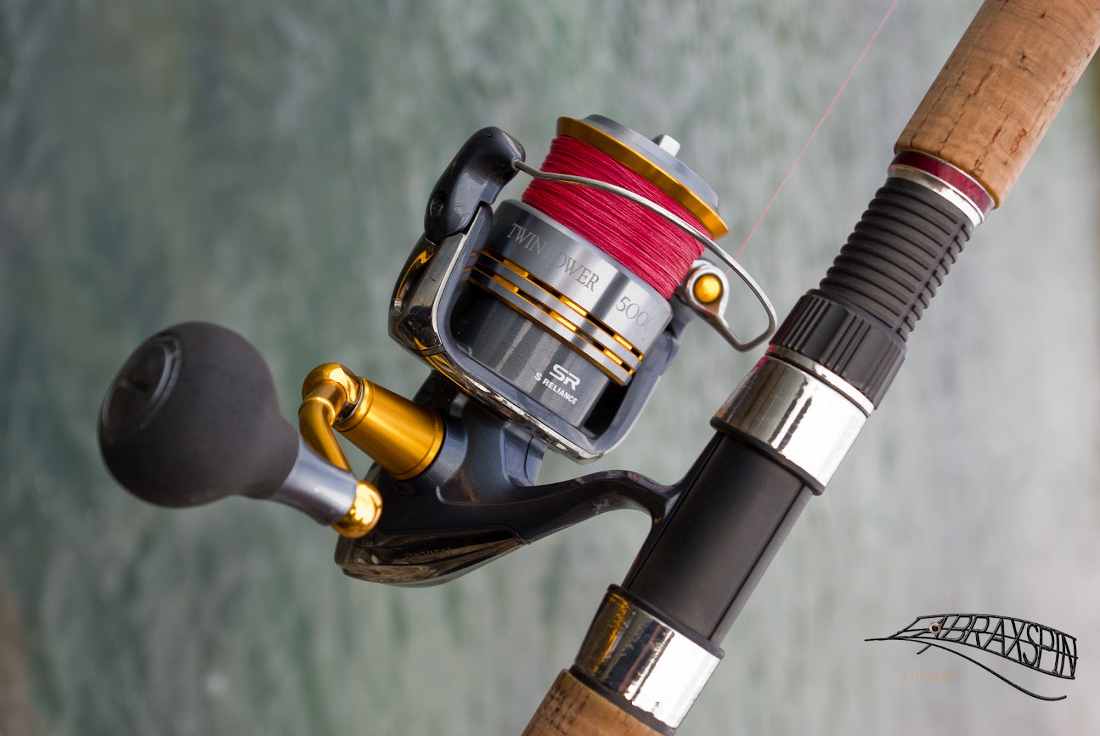 bricoypesca.com: Shimano Twin Power SW-A 5000