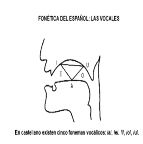 APRENDE ESPAÑOL FÁCIL: FONÉTICA/CRITERIOS PARA LA DELIMITACIÓN DE LOS ...