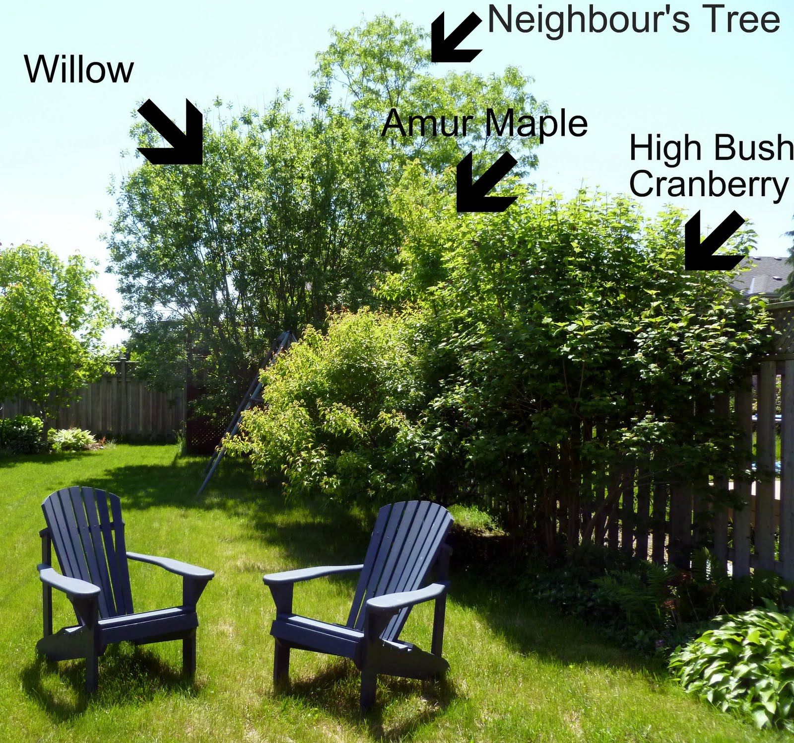Sense and Simplicity: Three Tips for Landscaping a New Subdivision Garden