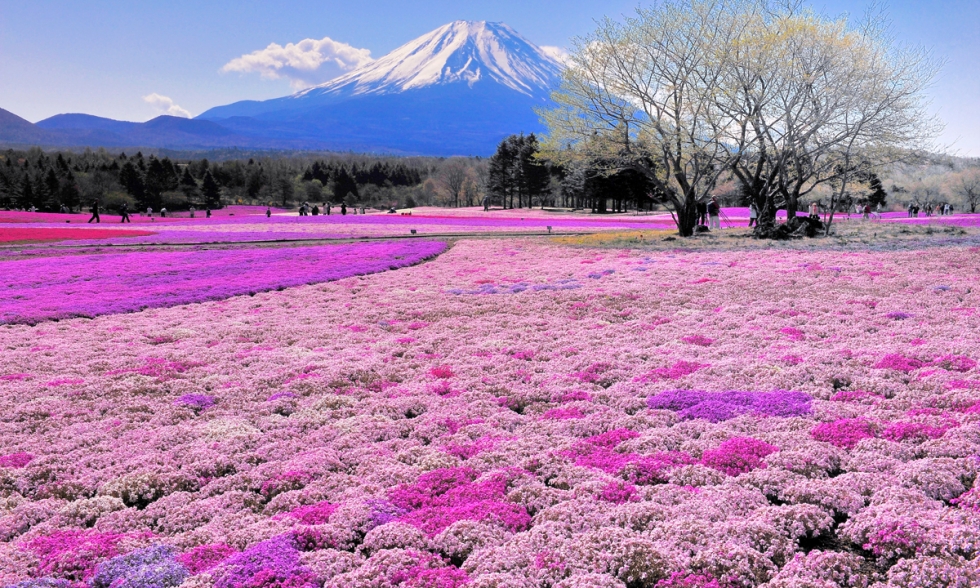 WHY YOU SHOULD VISIT HOKKAIDO — SHINI LOLA | Your Guide to Travel ...