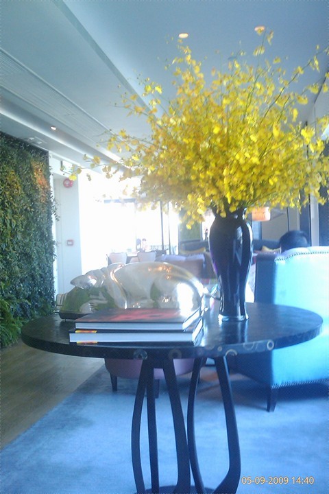 loveisspeed.......: SEVVA Restaurant...Hong Kong