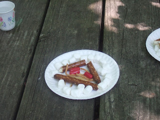 Going Green in Indy: Edible Fire Safety Tutorial for Kids and Scouts