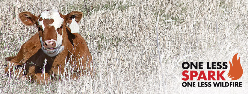 Nevada Fire Information: One Less Threat to Livestock- Careless Off ...
