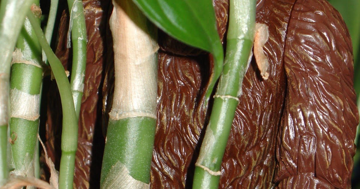 Kelly Ann Reed: A Work of Fiction: The Encounter