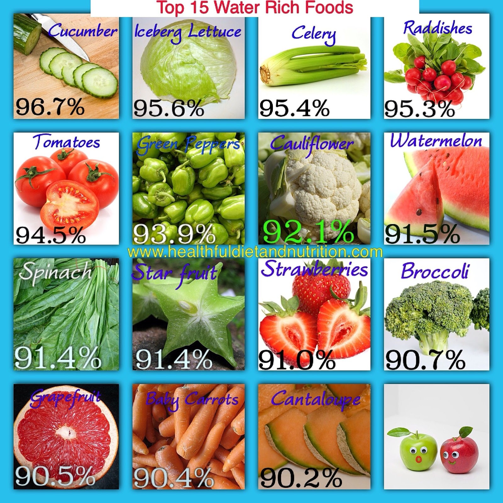 Water Rich Foods In Your Diet The 3 Week Diet Success Lose Weight
