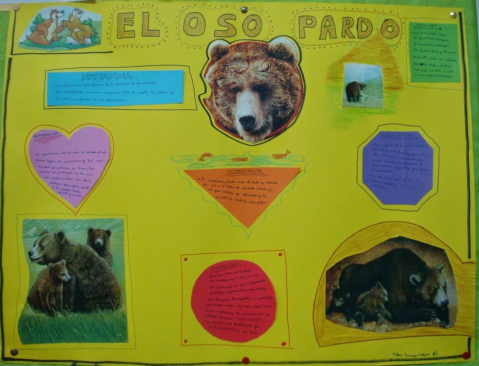 UN MUNDO POR DESCUBRIR P5 2014/15: Investigamos plantas y animales