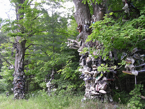 Kinmount Shoe Trees: Legend