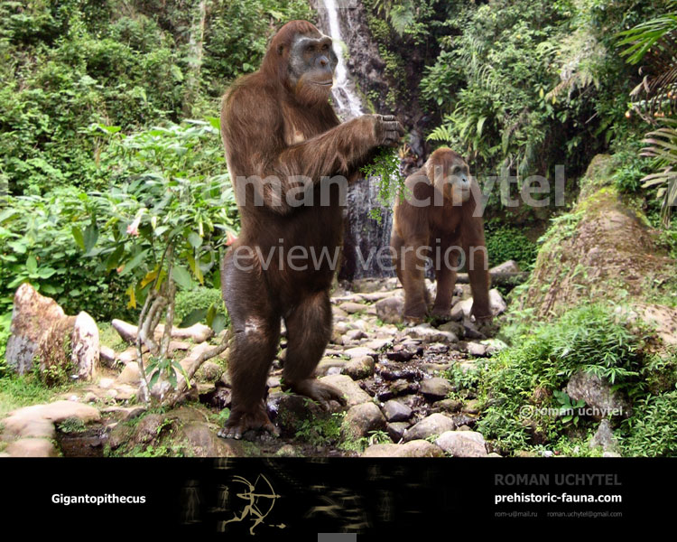 Escenarios prehistóricos: Gigantopithecus