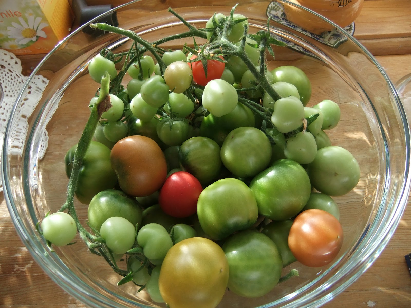 Hage 69 grader N: Om å dyrke tomater