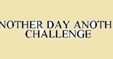 Awakenings: Kindness & Kudos