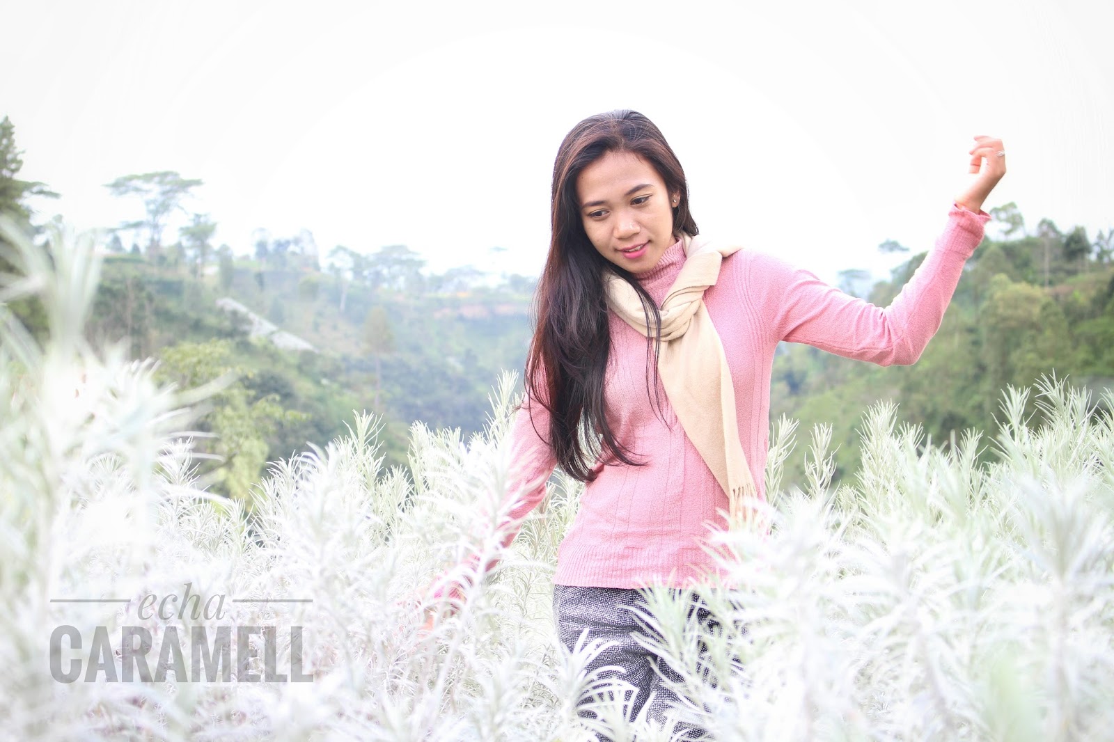 Padang Bunga Kasna - Tempat Menarik Di Bali