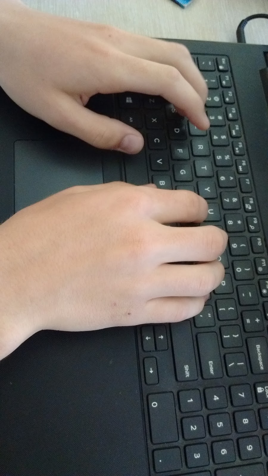 troutwife: The Typing Coach Online Typing Course -- my REVIEW