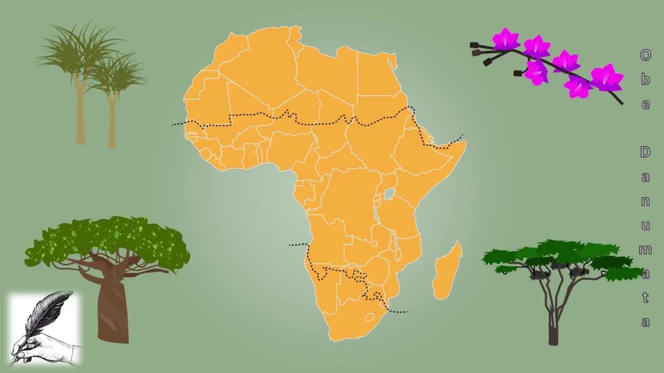 Where are Baobab Trees Found?