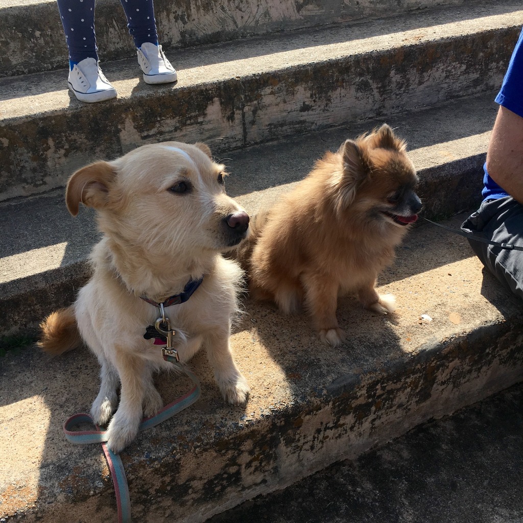 pretty little victories