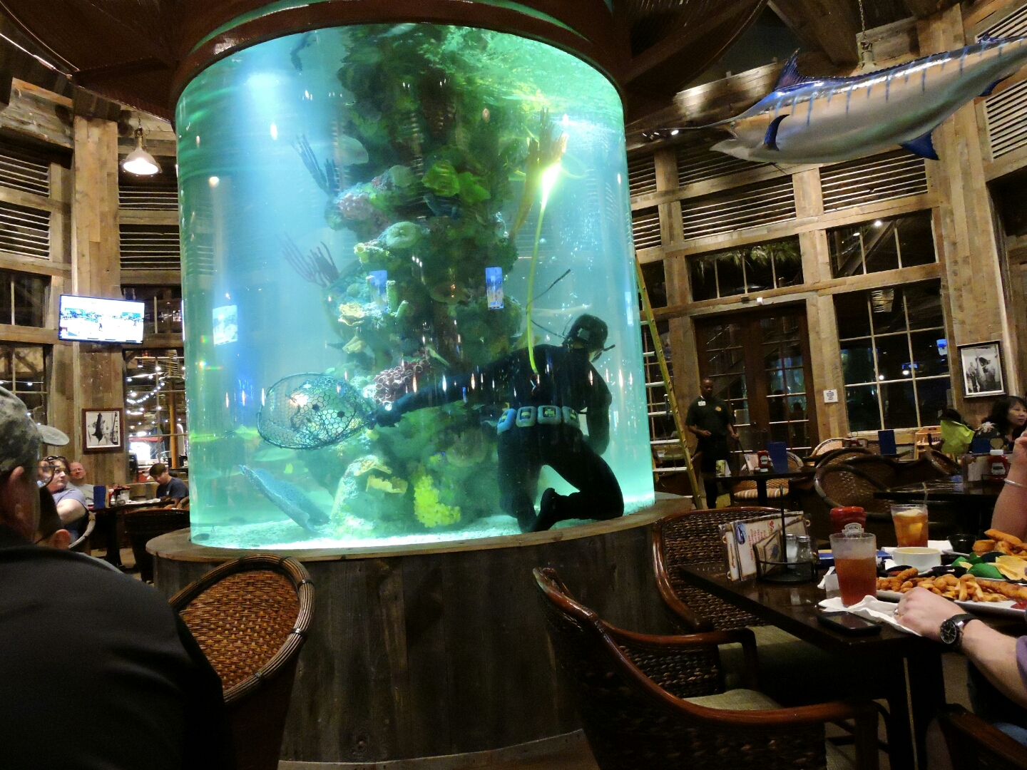 Road Trip to Memphis Tennessee