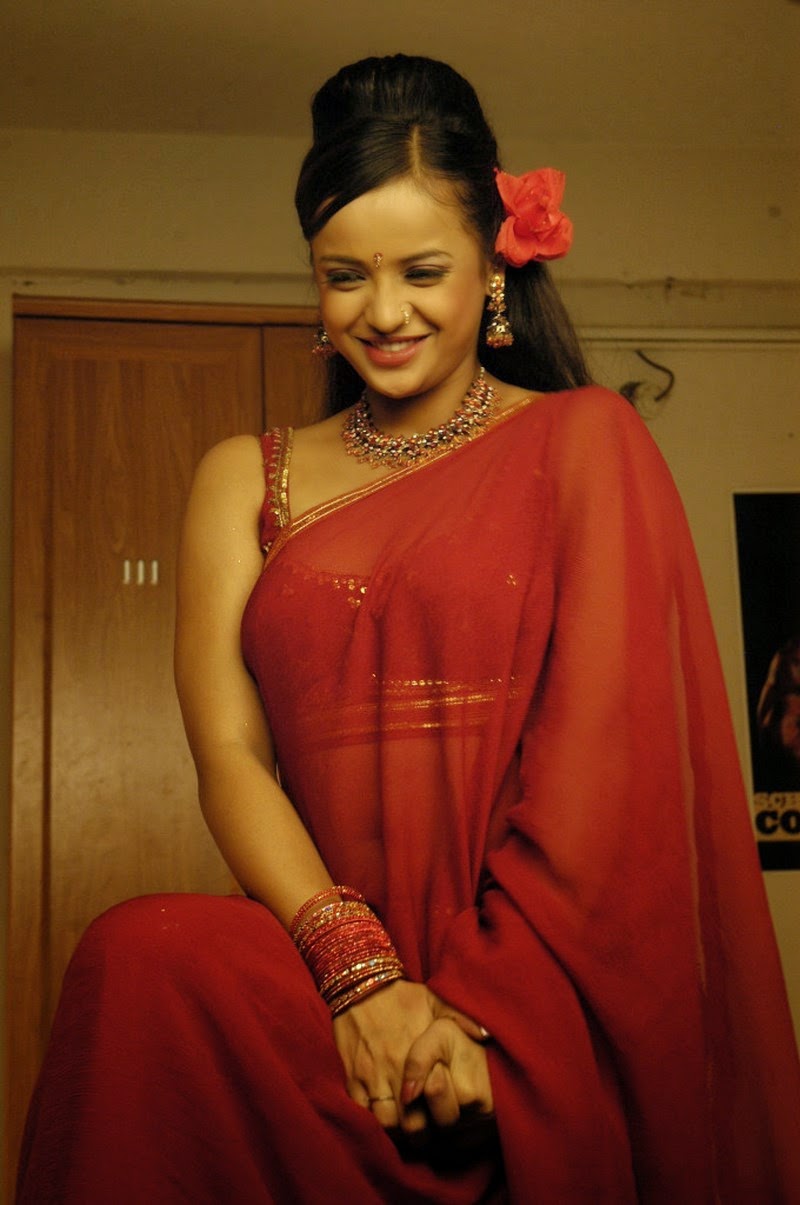 South Actress Tanu Roy Red Hot Saree | Indian Actress Sarees