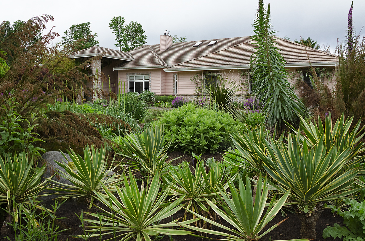 Linda Cochran's Garden: More Front Border