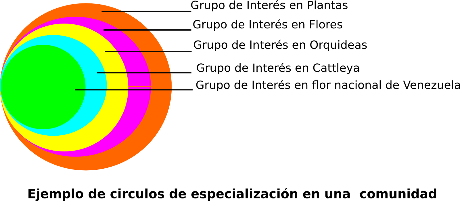 comunidades virtuales