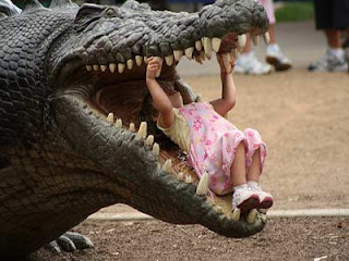 Latest Funny Pictures: Funny Crocodile Photoes